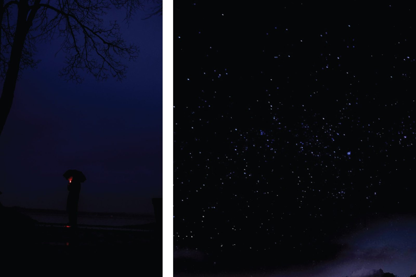 A Night Sky Odyssey: Kejimkujik's Dark Sky Preserve in Canada